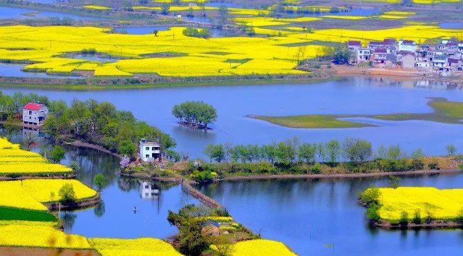 Wuhu.Me – English Community of City Wuhu, Anhui. China